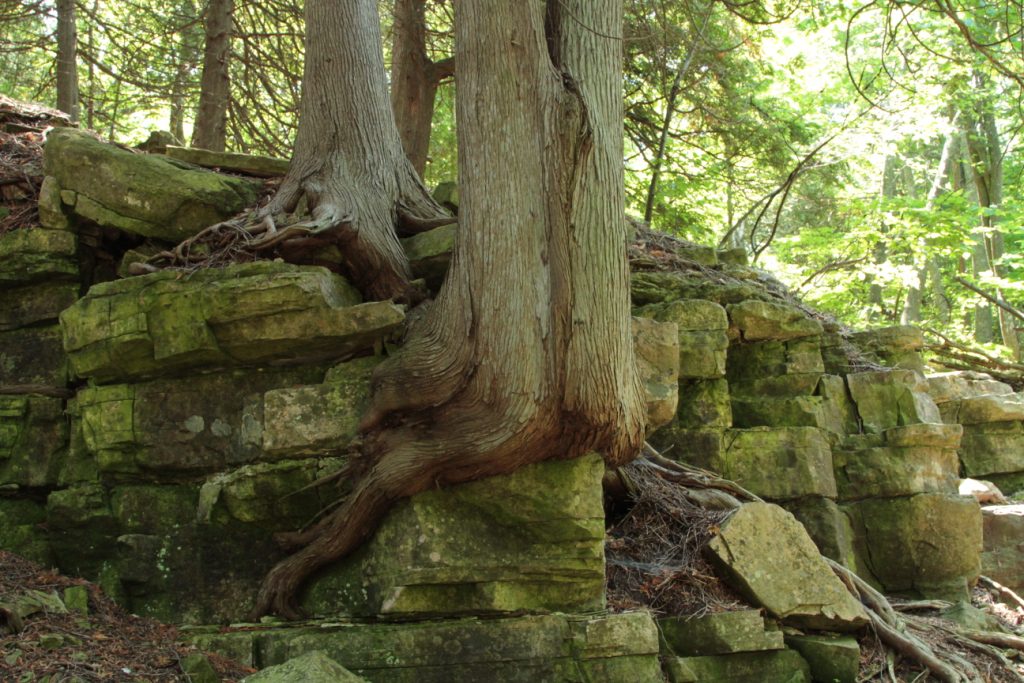 Concern for Wisconsin environment more broad than you might think ...