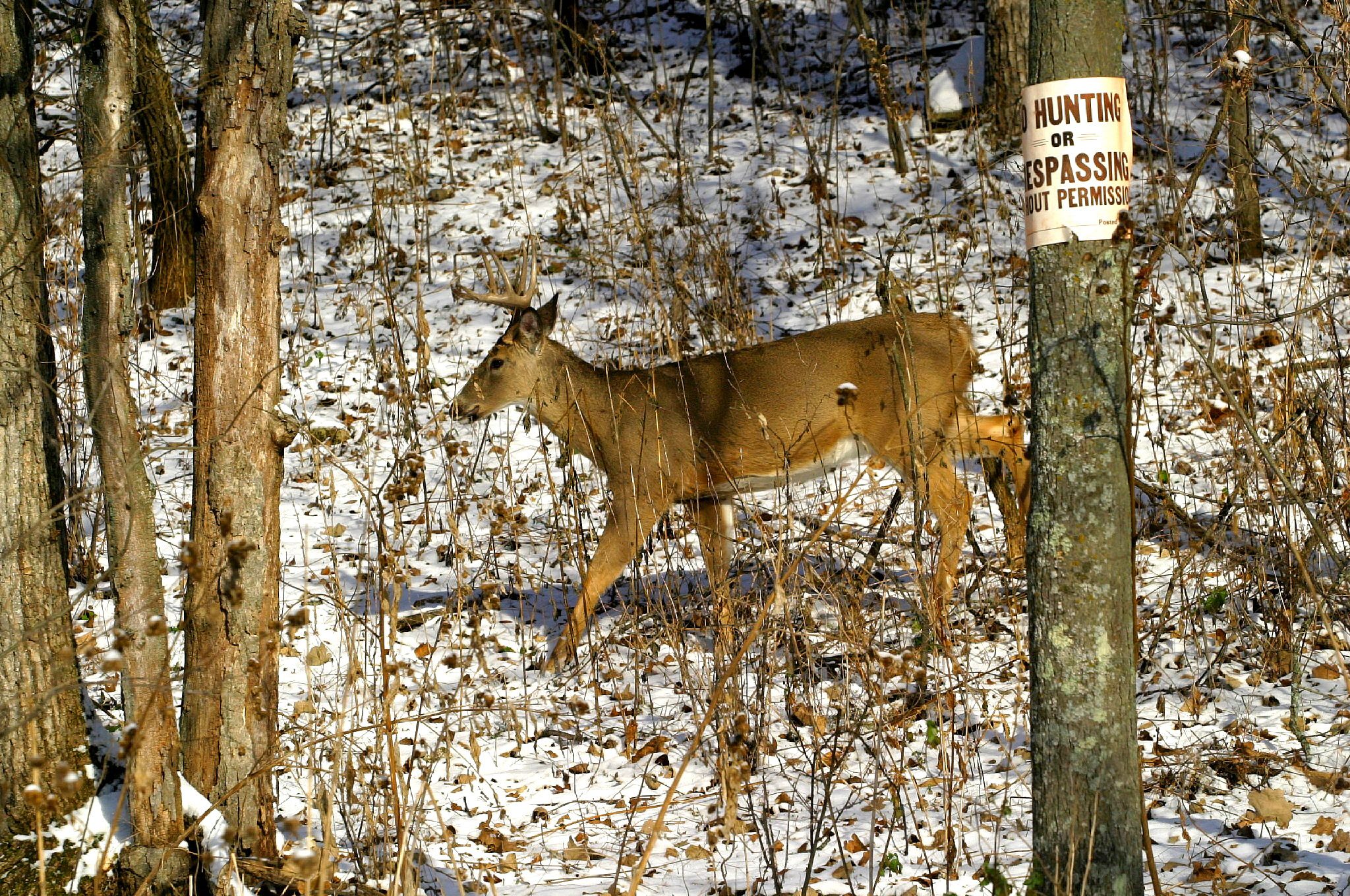 WGF Sponsors Deer Dumpsters to Slow Spread of Chronic Wasting Disease ...