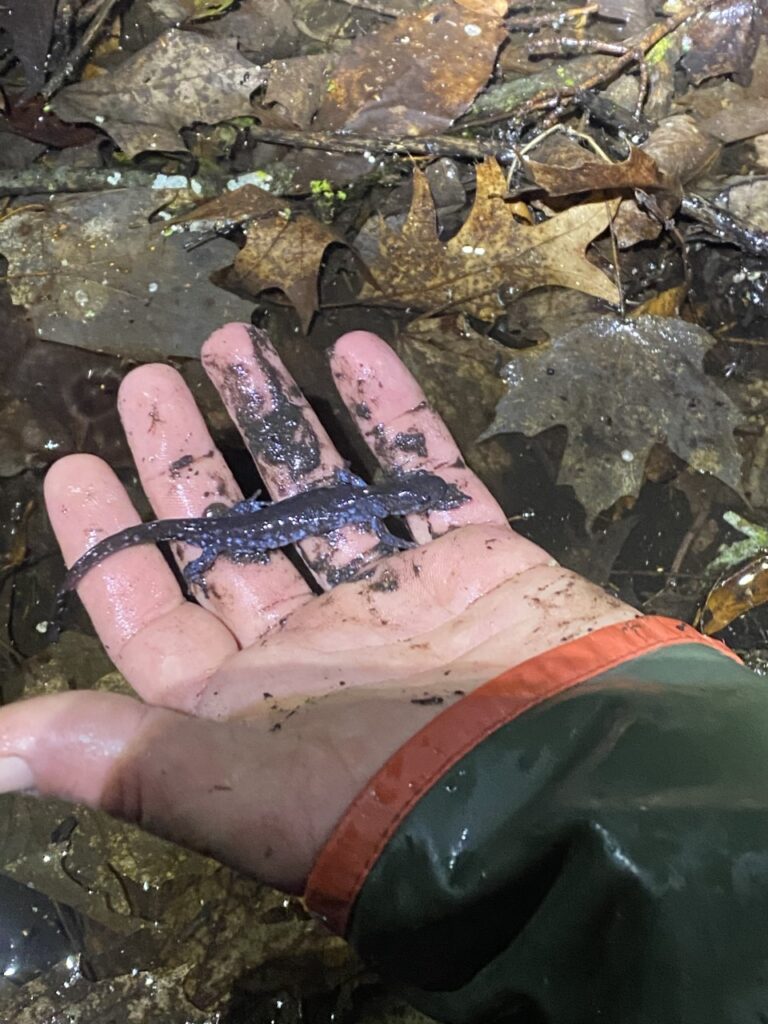 Wisconsin's Green Fire Members Reflect on Earth Day 2022 • Wisconsin’s ...