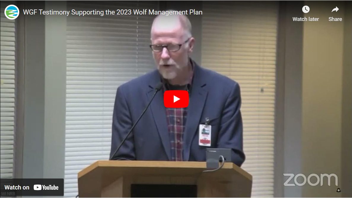 Video: Fred Clark's Testimony to the NRB on the 2023 Wolf Management ...